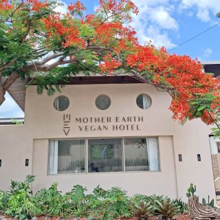 Home | vegetarian & vegan travel | VeggieHotels