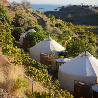 Home | vegetarian & vegan travel | VeggieHotels